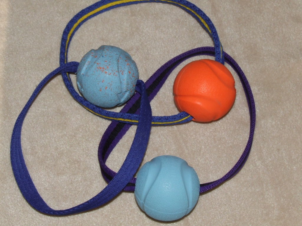 PetNeeds - Bespoke Handmade Bridle Leather Dog Leads and Collars ...